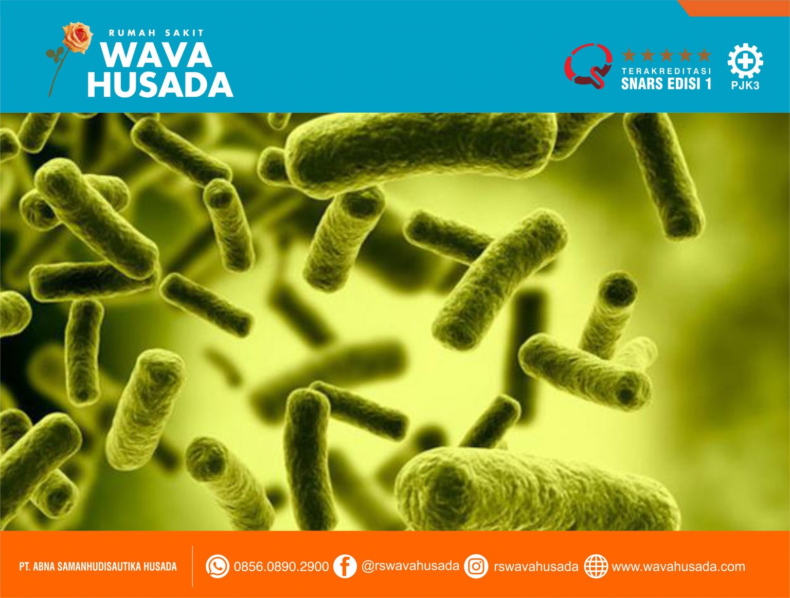 esbl-extended-spectrum-beta-lactamases-rumah-sakit
